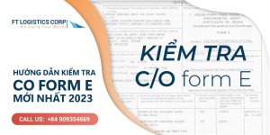 Hướng dẫn kiểm tra CO form E (mới nhất 2023) - FT Logistics Corp